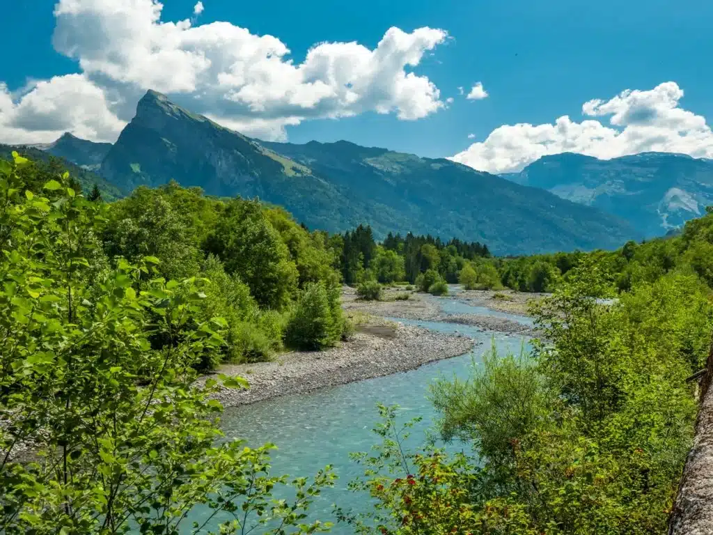Forêts de Cluses Arve Giffre - Sylv'ACCTES